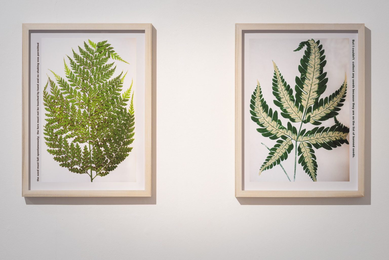 Ingrid Pollard - CAST | Cornwall